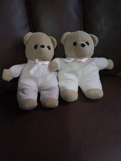 PMS TLC APPEAL Freemasons Teddys Bear Baby Pink Soft Toy Plush 10” X2 £ ...