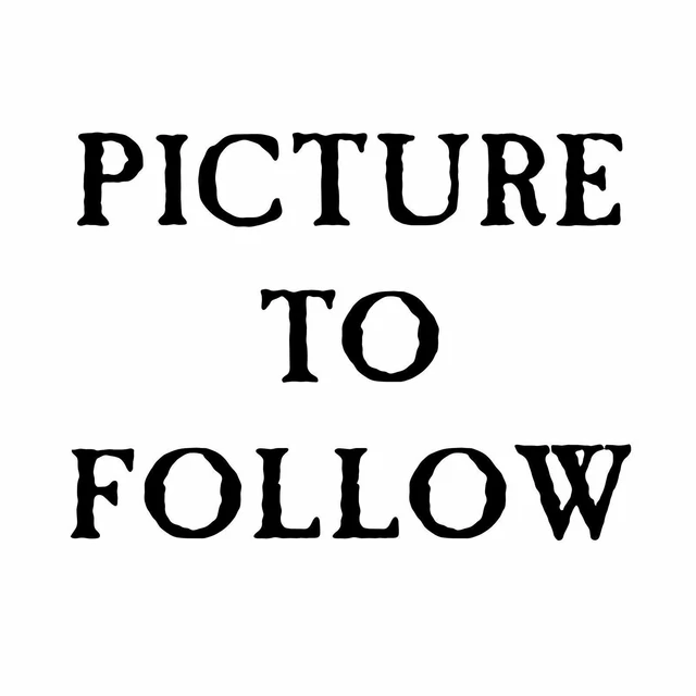 LEGIUNEA ROMANA- ROUMAIN GENERAL'S Manuel Panzer Korps-War Jeux Règles ...