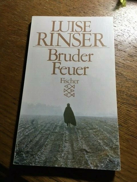 BRUDER FEUER - Luise Rinser - Fischer Geschenk Zustand gut 127 2.Hand £0.86 - PicClick UK