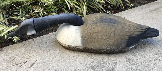 VINTAGE PLASTIC FULL Size Canada Goose 30" Decoy Floater Flambeau $26. ...