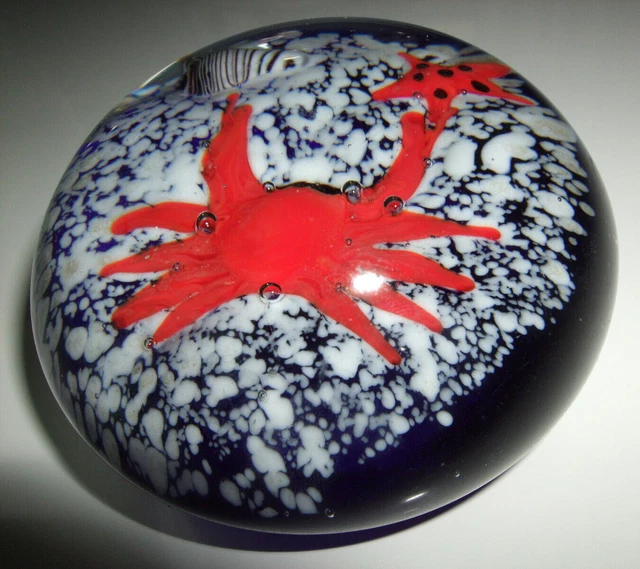 BRIEFBESCHWERER PAPERWEIGHT MIT Krabbe, Muschel und Seestern - 80mm ...