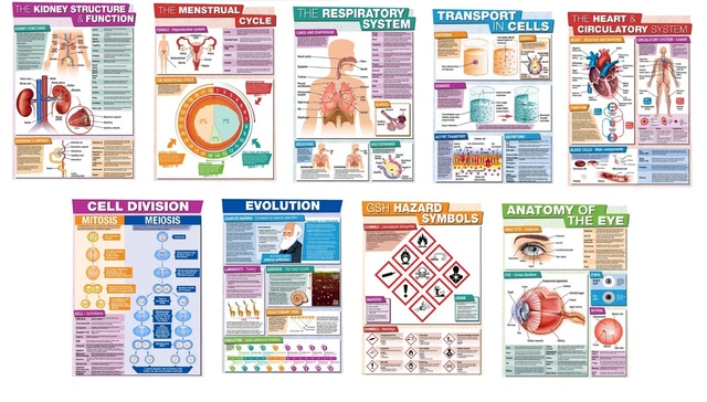 GCSE SCIENCE: BIOLOGY - 9 A3 Educational Posters £15.49 - PicClick UK
