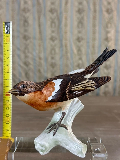 ANTIQUE PORCELAIN GERMAN Birds Bird Collection Chaffinch Branch Goebel ...