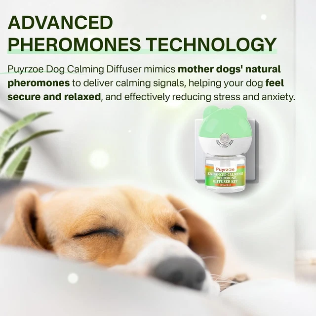 PUYRZOE DOG CALMING Pheromones Diffuser with Three Timing Functions, 6 ...