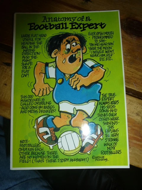 VINTAGE ARTHUR PICKERING Artist Drawn Anatomy Of A Football Expert ...