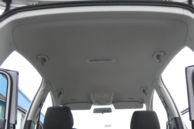 VW GOLF 5M Plus Himmel Innenraum Decke Dachhimmel Dach oben perlgrau ...