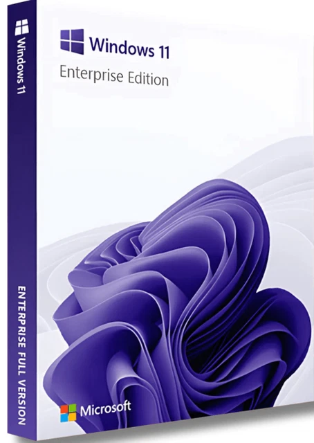 MICROSOFT WINDOWS 11 Enterprise LTSC 2024 Single Device DG7GMGF0PP49 £ ...