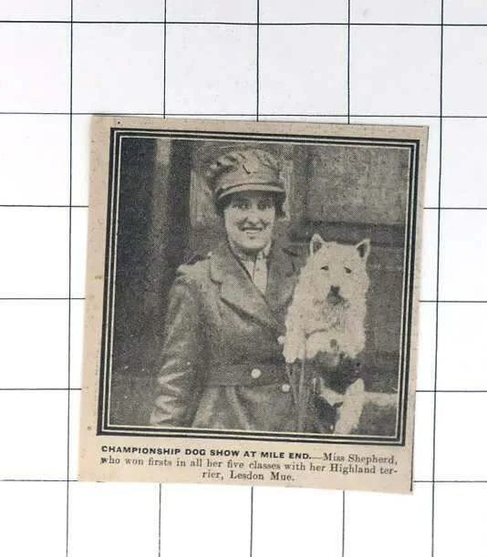 1919 MISS SHEPHERD Wins Championship Dog Show At Mile End With Highland ...
