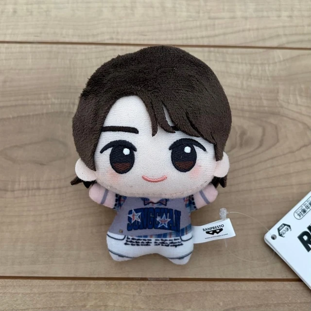 ANONIMO RIIZE FLY Up Chibigurumi vol1 Sungchan EUR 88,90 - PicClick IT