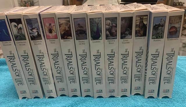 TIME LIFE DAVID Attenborough's The Trials of Life 12 VHS Set 1991 ...