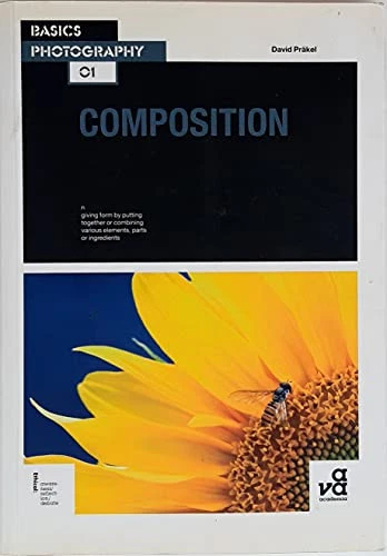BASICS PHOTOGRAPHY: COMPOSITION, David Prakel £6.99 - PicClick UK