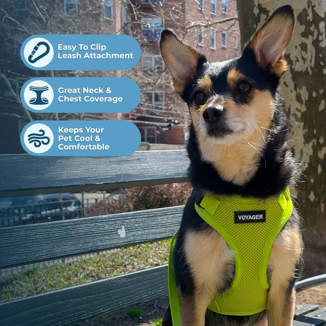 VOYAGER STEP-IN LOCK Pet Harness – All Weather Mesh, Adjustable Step in ...