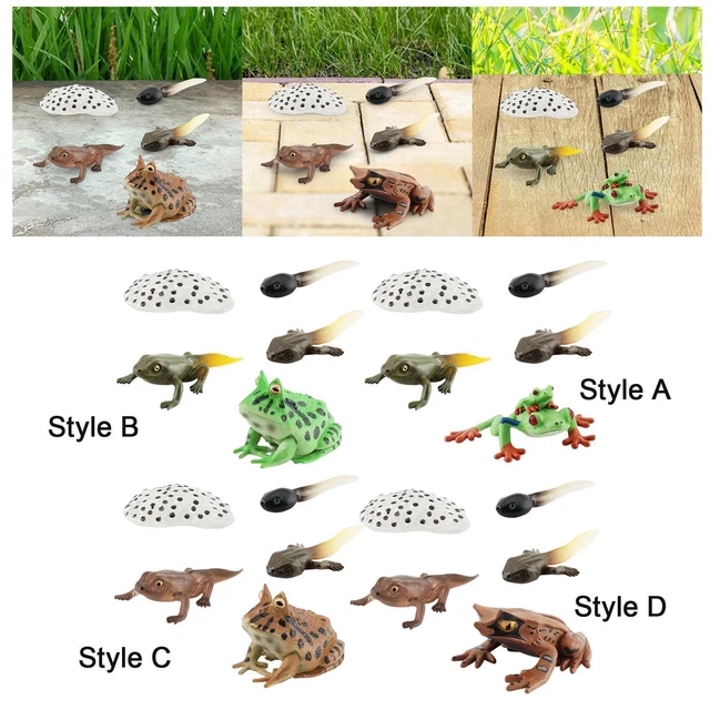 LIFE CYCLE FIGURINES 4 Stages of Frog Learning Prop for Early ...