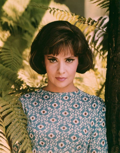 ITALIAN ACTRESS GINA Lollobrigida 1965 Historic Old Movie Photo $9.00 ...