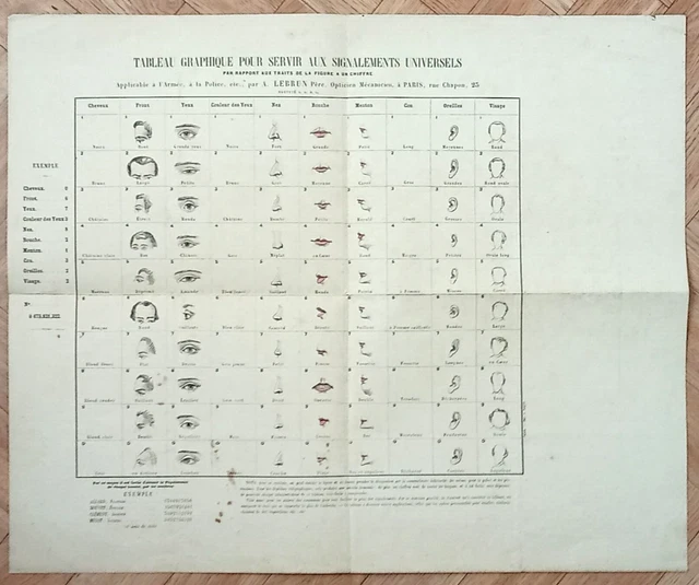 TABLEAU GRAPHIQUE Signalements Universels Des Traits De La Figure A ...