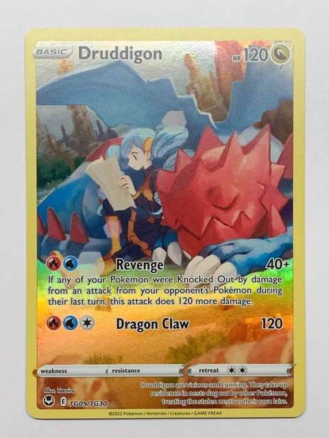 DRUDDIGON TG09/TG30 SILVER Tempest SIT Near Mint NM Pokemon Card TCG $0 ...
