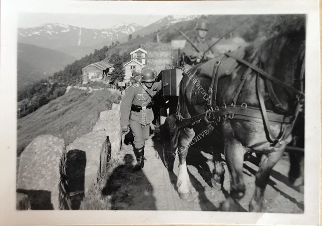 GJØRA GJÖRA OPPDAL Soldaten Pferde Norwegen Foto 2.WK F17 EUR 3,99 ...