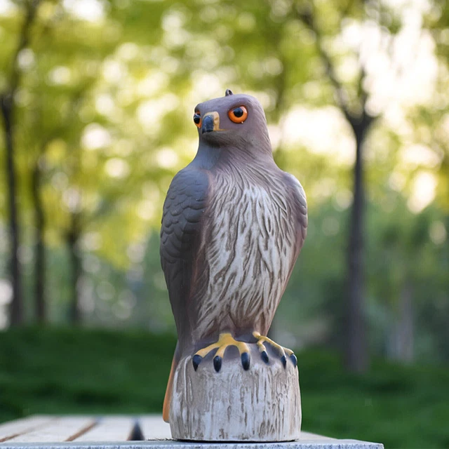 GARDEN FAKE EAGLE Hunting Decoy Bird Pigeon Scarer Pest Deterrent ...