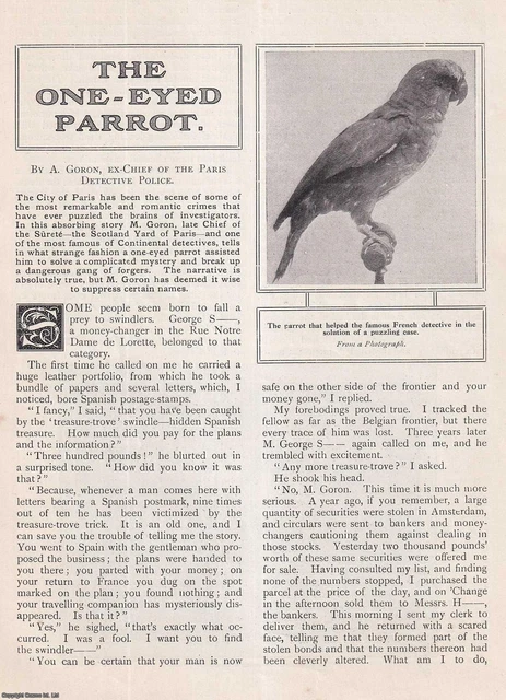 THE FAMOUS FRENCH Detective & The One-Eyed Parrot : The Parrot Who ...