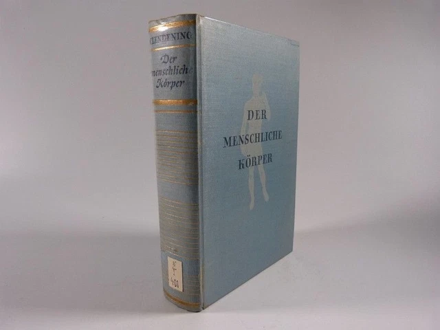 DER MENSCHLICHE KÖRPER Sein Aufbau, seine Organe, ihre Funktionen und ...