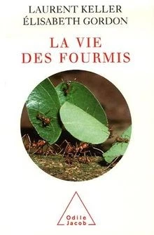 LA VIE DES fourmis de Keller, Laurent, Gordon, Elisabeth | Livre | état ...