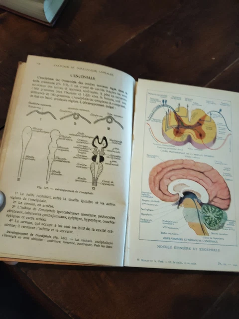 ANCIEN LIVRE ANATOMIE & Physiologie – Boulet & Obré – Hachette –... EUR ...
