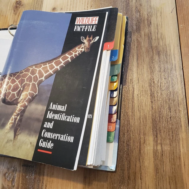 VINTAGE 90S WILDLIFE Fact File Cards 180+ Cards Groups 1-11 Animal ...