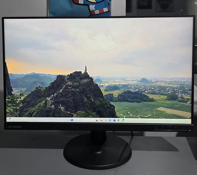 LENOVO D24-40 24& Full HD IPS Monitor HDMI AMD FreeSync Excellent ...