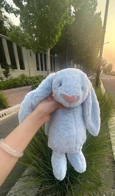 JELLYCAT 31CM JELLY Rabbit Doll (with label and dust bag) £18.53 ...