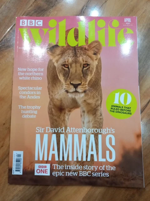 BBC WILDLIFE,APR 2024,DAVID Attenborough,Mammals,Dinosaurs,Hunting ...