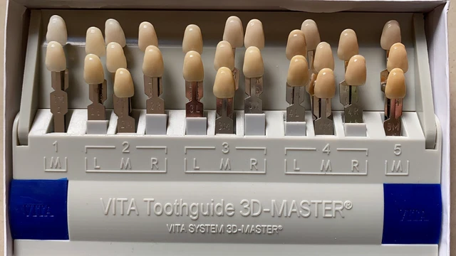 BID VITA TOOTHGUIDE 3D Master with Shade Guide 29 Colors Vitapan ...
