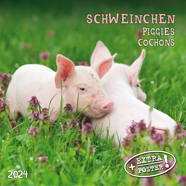 PIGGIES/SCHWEINCHEN 2024 EUR 11,09 - PicClick DE