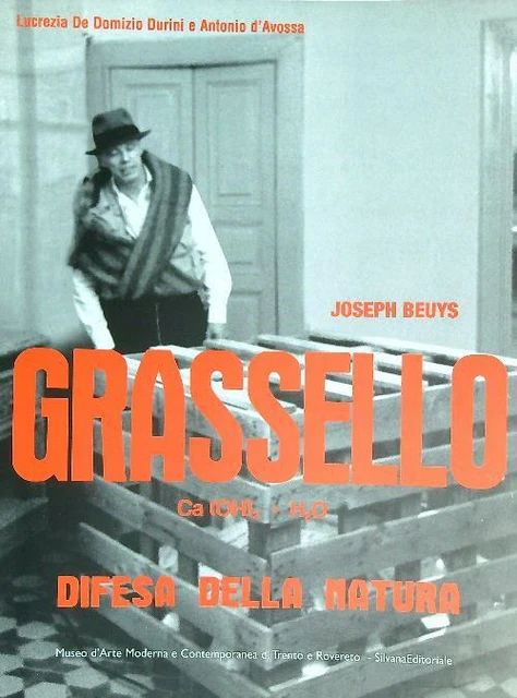 JOSEPH BEUYS. GRASSELLO De Domizio Durini Lucrezia Silvana 2002 \ EUR ...