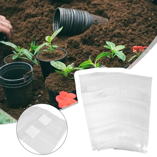 SAC DE CULTURE de frai de champignons PVC premium 25 * 50 cm substrat ...