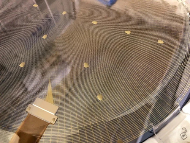 SENSARRAY KLA 1841F-12-5008B_SA 12inch Process Probe Instrumented RTD ...