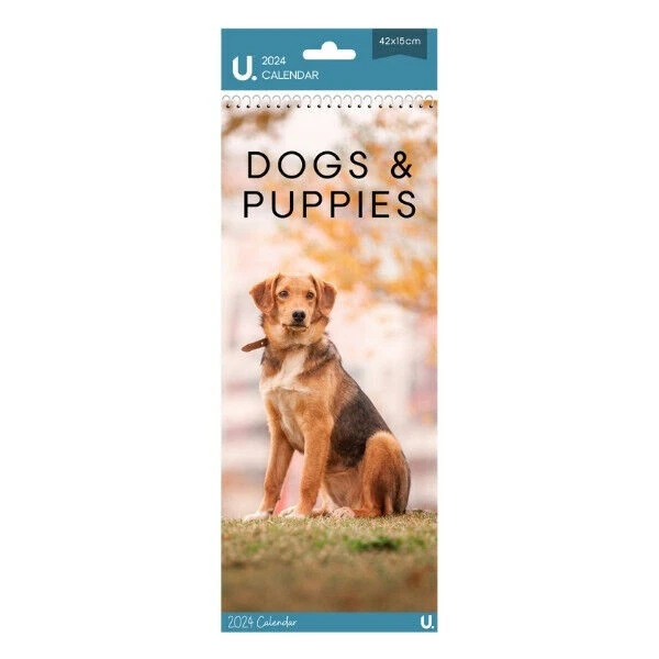 THE U.® 2024 Dogs & Puppies Slim Calendar 42 x 15cm. £4.99 - PicClick UK