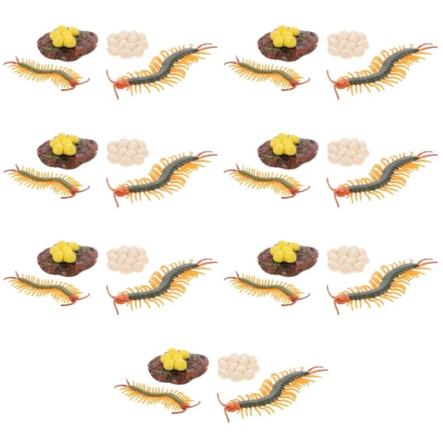 GARDEN SCULPTURE MODELS Lifelike Life Cycle Figurine Life Toys £36.38 ...