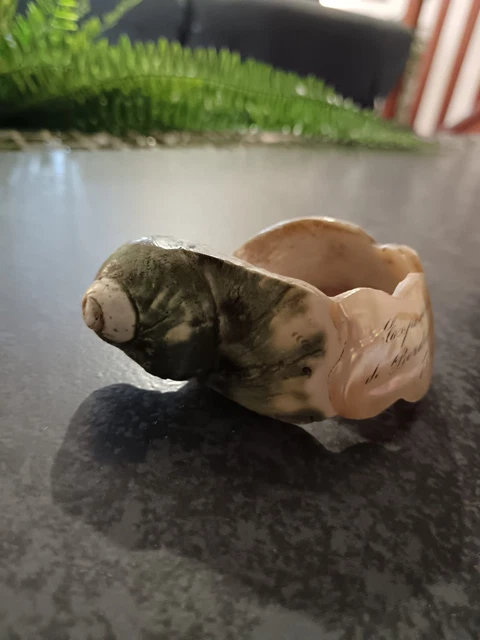 ROND DE SERVIETTE coquillage nacré, Exposition de Bordeaux 1895 EUR 15 ...