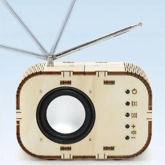 DIY RADIO MODEL Science Teaching Wood Science Experiment for Children ...