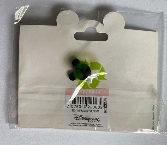 PINS DISNEYLAND PARIS Winnie Porcinet Piglet Familly L’ourson The Pooh ...