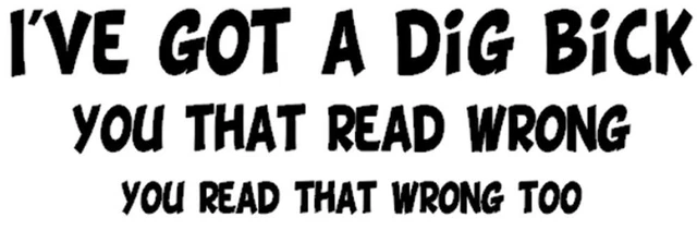 I'VE GOT A DIG BICK STICKER Divertente Caravan Swift Bailey Auto Novità ...