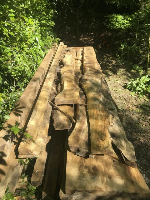 MACROCARPA - 50MM x 4m Slabs - 100mm x 4m Posts - Collect Only - Bodmin ...