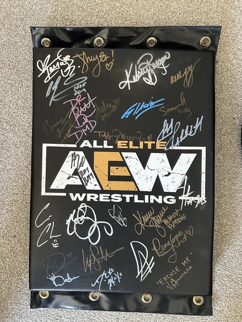 AEW WRESTLING SIGNED Turnbuckle WWE WWF Cole, Baker, Hayter, Hager ...
