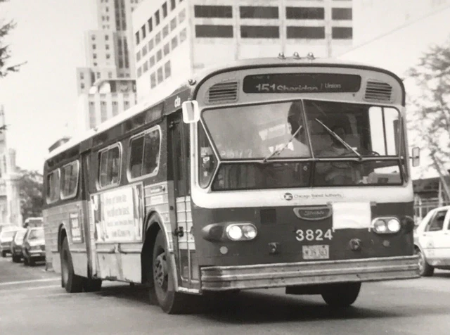 CHICAGO TRANSIT AUTHORITY Bus CTA #3824 Route 151 Sheridan B&W ...