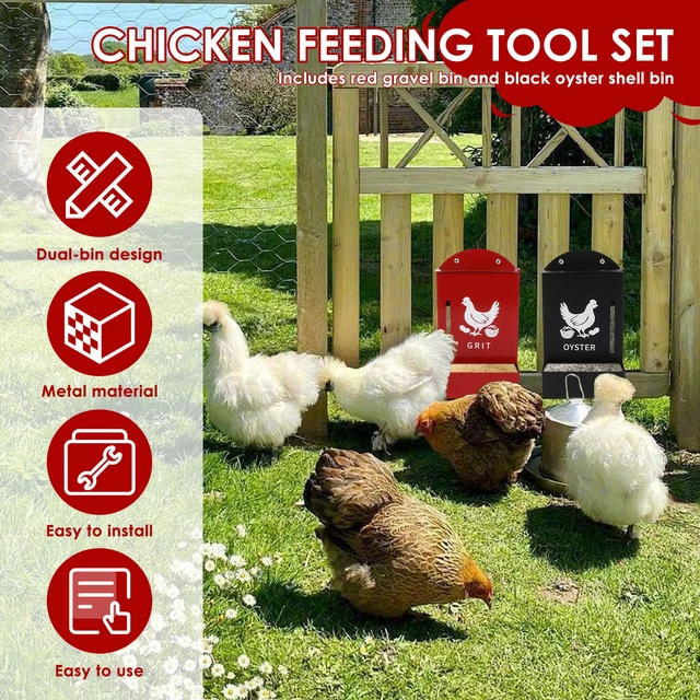 METAL CHICKEN OYSTER Shell Feeder and Grit Feeder with Gravity Fed ...