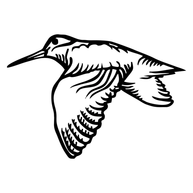 ADESIVO PRESPAZIATO BECCACCIA Woodcock pre-spaced sticker car decal ...