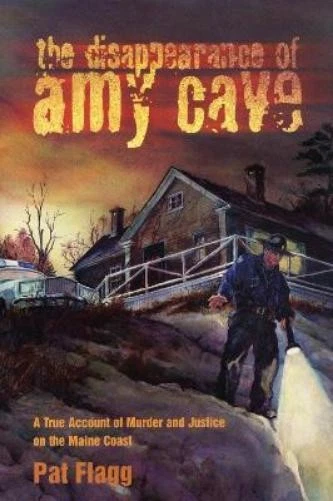 PAT FLAGG THE Disappearance of Amy Cave (Poche) EUR 17,25 - PicClick FR