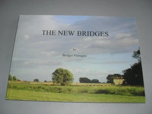 THE NEW BRIDGES: The Causeway to St. Ives Bridge by Flanagan, Bridget ...