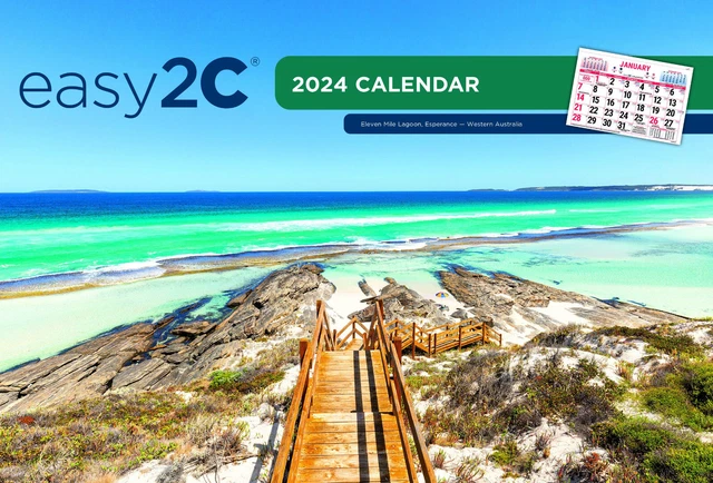 5 X 2024 Big Print EsE-2C Calendar - Easy to See A4 Wall Calendar NEW ...