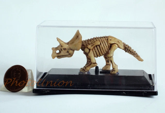 CAKE TOPPER JURASSIC Museum Dinosaur Fossil Bone Model Triceratops ...